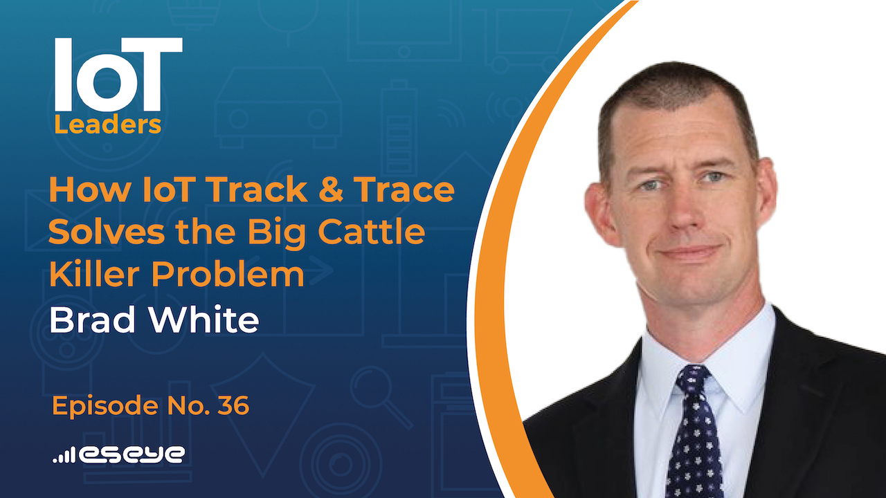 How IoT Track & Trace Solves the Big Cattle Problem