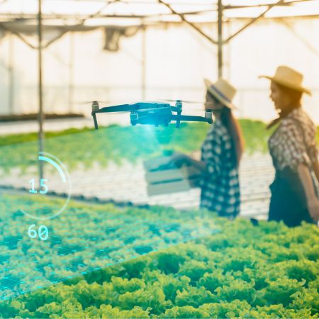 How IoT is transforming AgriTech and Smart Farming
